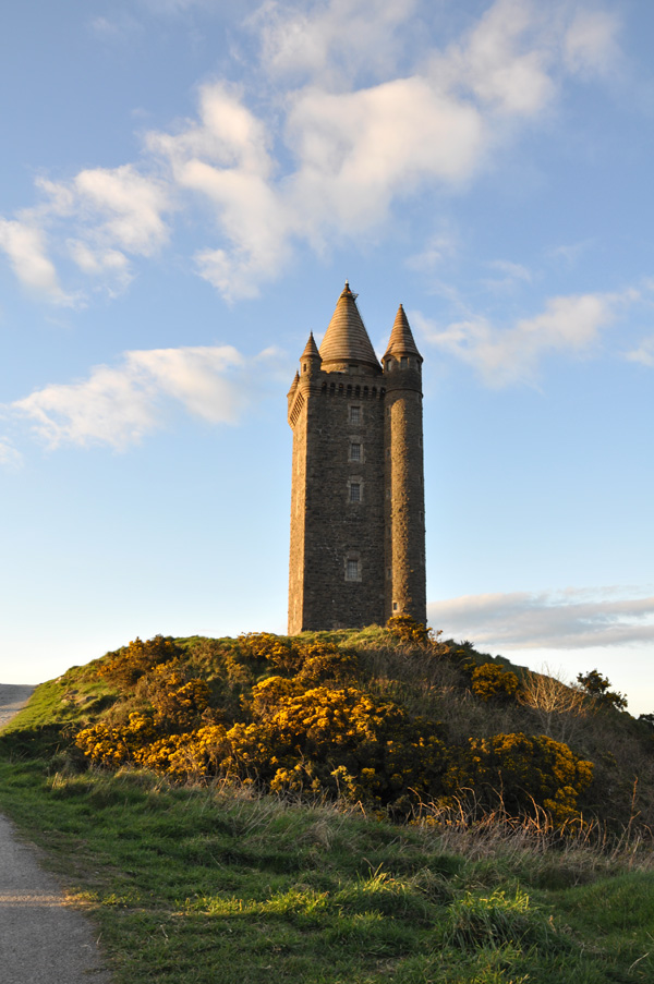 Scrabo Tower - telafante